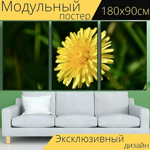 Модульный постер "Цветок, цветок одуванчика, желтый цветок" 180 x 90 см. для интерьера