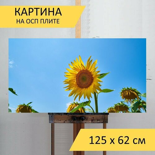Картина на ОСП 125х62 см. "Подсолнечник, желтый, солнце" горизонтальная, для интерьера, с креплениями