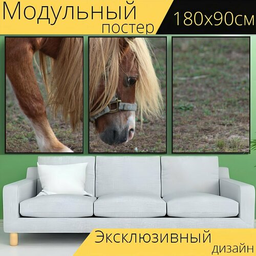 Модульный постер "Лошадь, ферма, природа" 180 x 90 см. для интерьера