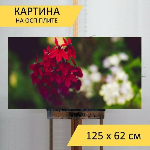 Картина на ОСП 125х62 см. "Цветок, красный, сад" горизонтальная, для интерьера, с креплениями