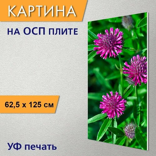 Вертикальная картина на ОСП "Летние цветы, завод, красный цветок" 62x125 см. для интерьериа