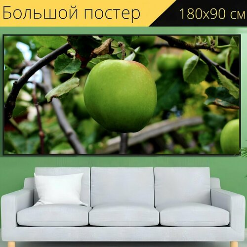 Большой постер "Яблоня, яблоки, фрукты" 180 x 90 см. для интерьера