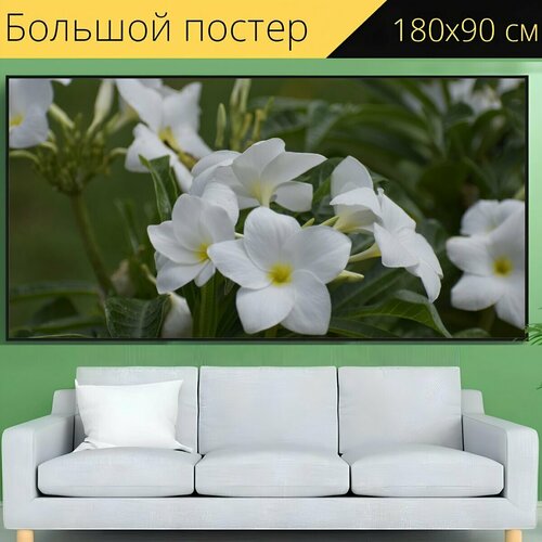 Большой постер "Натуральный цветок, белый цветок, цветок" 180 x 90 см. для интерьера
