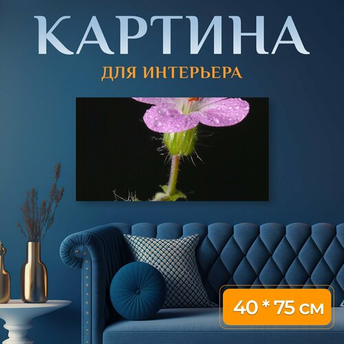 Картина на холсте "Герань, капля росы, макрос" на подрамнике 75х40 см. для интерьера