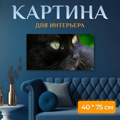 Картина на холсте "Кот, черный, глаза" на подрамнике 75х40 см. для интерьера