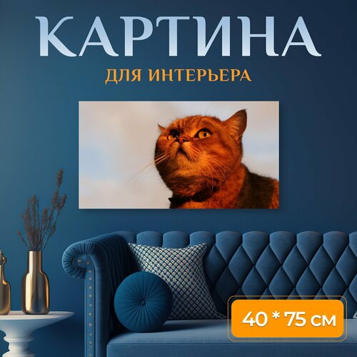 Картина на холсте "Кошка, закат, вечер" на подрамнике 75х40 см. для интерьера