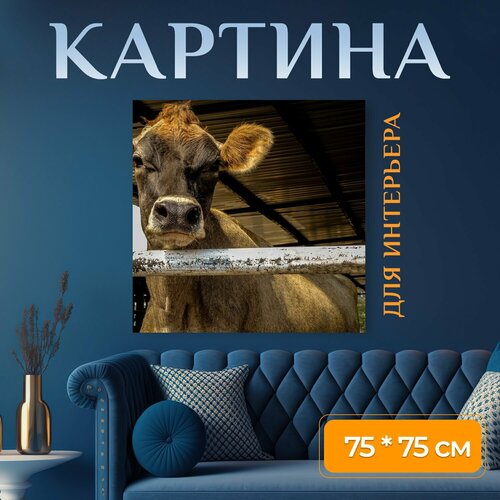 Картина на холсте "Корова, крупного рогатого скота, молоко" на подрамнике 75х75 см. для интерьера