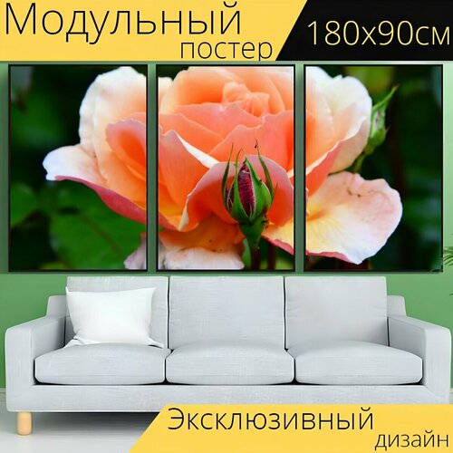 Модульный постер "Роза, цветок оранжевый, лист" 180 x 90 см. для интерьера
