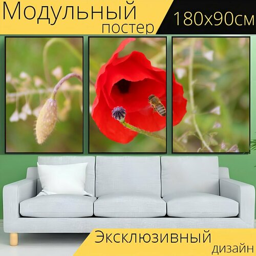Модульный постер "Мака, цветок, красный" 180 x 90 см. для интерьера