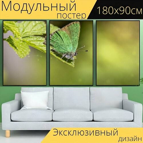 Модульный постер "Зеленый дневная, бабочка, листья" 180 x 90 см. для интерьера