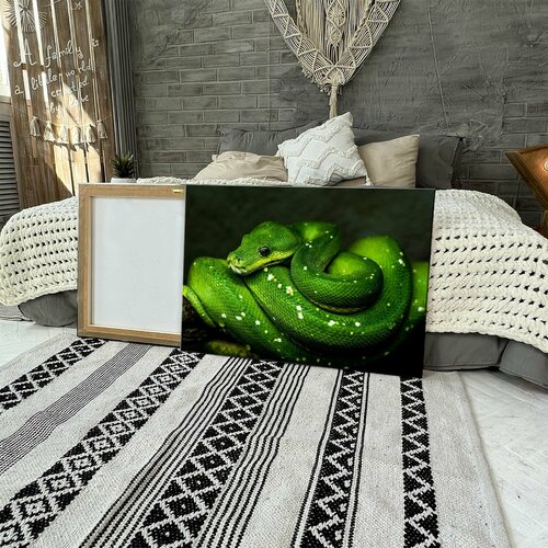 Картина на холсте (Зеленый полоз, темно зеленая змея, зеленый удав, ярко зеленая змея, зеленый питон - Зеленый полоз, темно зеленая змея, ярко зеленый питон) 30x40 см. Интерьерная, на стену.