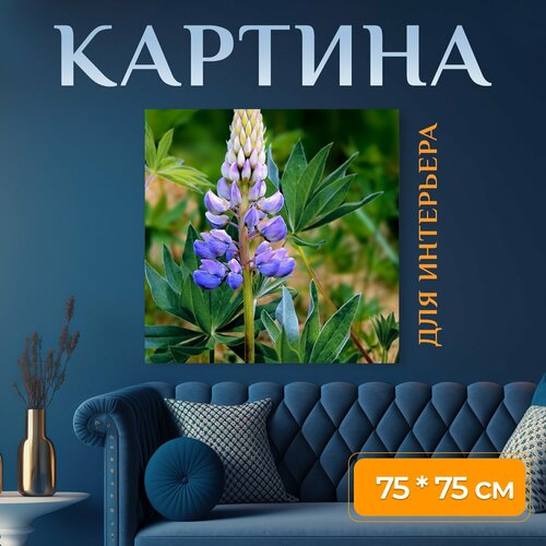 Картина на холсте "Цветы, весна, синий" на подрамнике 75х75 см. для интерьера