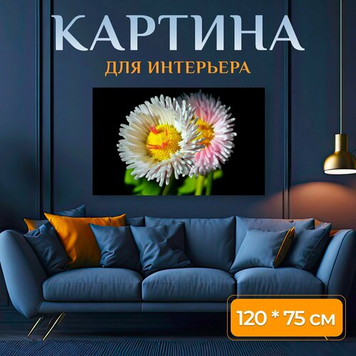 Картина на холсте "Ромашки, цветы, красочные" на подрамнике 120х75 см. для интерьера