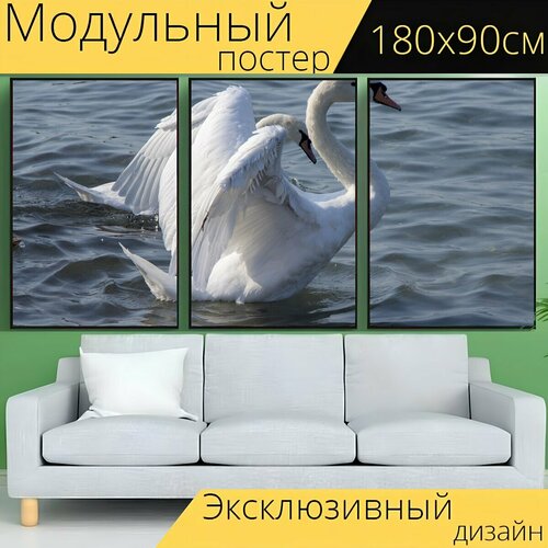 Модульный постер "Лебедь, воды, природа" 180 x 90 см. для интерьера