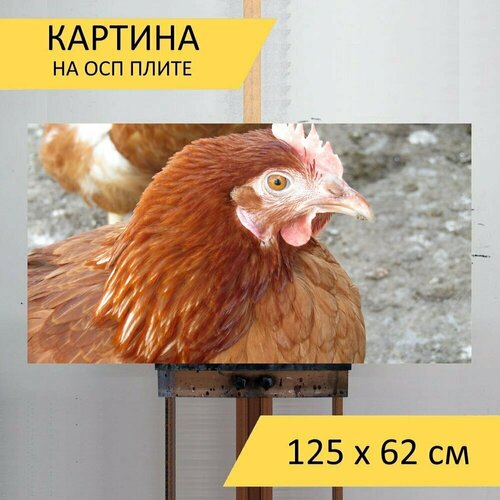 Картина на ОСП 125х62 см. "Курица, коричневый, животное" горизонтальная, для интерьера, с креплениями