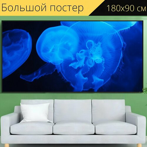 Большой постер "Медуза, море желе, животные" 180 x 90 см. для интерьера
