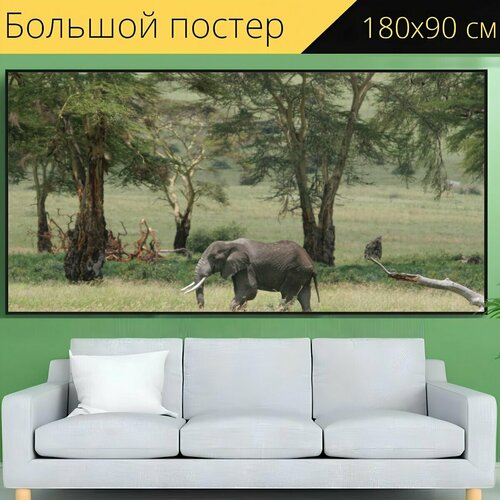 Большой постер "Слон, животные, африка" 180 x 90 см. для интерьера