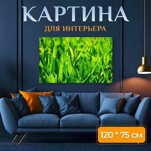 Картина на холсте "Листья, зеленый, подсветка" на подрамнике 120х75 см. для интерьера