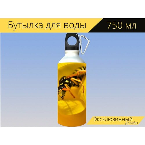 Бутылка фляга для воды "Оса, насекомое, ужалить" 750 мл. с карабином и принтом