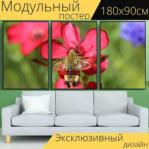 Модульный постер "Цветок, колибри бражник, насекомое" 180 x 90 см. для интерьера