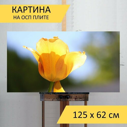 Картина на ОСП 125х62 см. "Тюльпан, цвести, желтый" горизонтальная, для интерьера, с креплениями