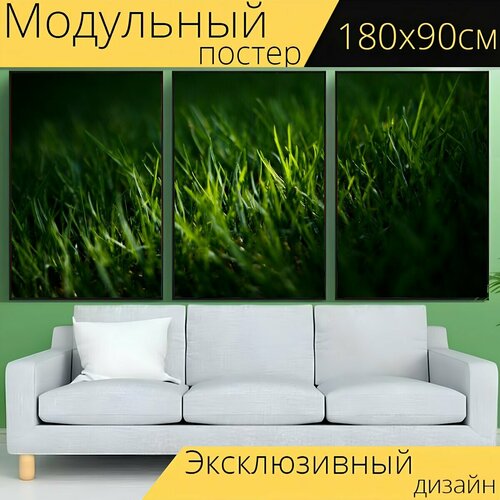 Модульный постер "Трава, зеленый, лужайка" 180 x 90 см. для интерьера