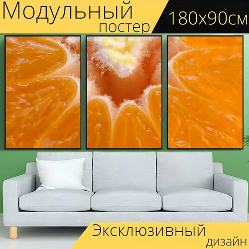 Модульный постер "Апельсин, макрос, цитрусовые" 180 x 90 см. для интерьера
