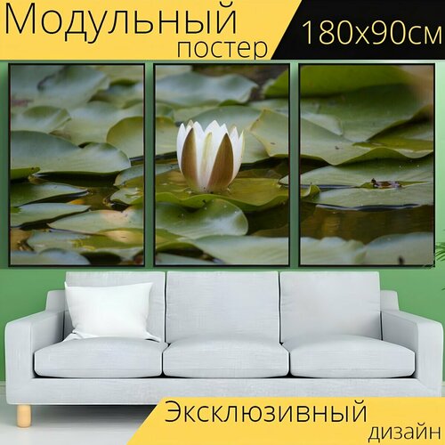 Модульный постер "Вода, лили, сад" 180 x 90 см. для интерьера