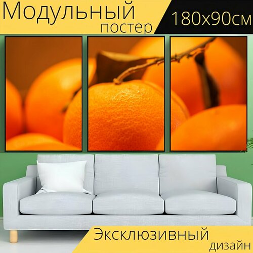 Модульный постер "Апельсин, оранжевый, фрукты" 180 x 90 см. для интерьера