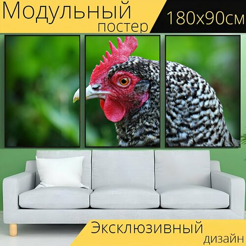 Модульный постер "Курица, петух, птица" 180 x 90 см. для интерьера