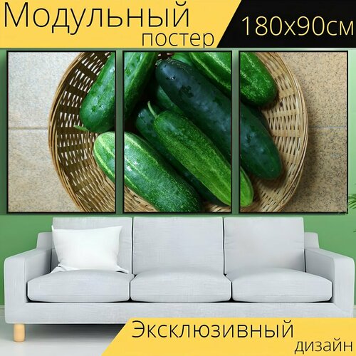 Модульный постер "Огурцы, фруктовый сад, овощи" 180 x 90 см. для интерьера