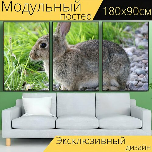 Модульный постер "Кролик, кролики, животное" 180 x 90 см. для интерьера
