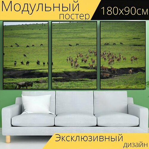 Модульный постер "Танзания, африка, животные" 180 x 90 см. для интерьера