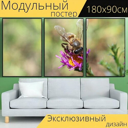Модульный постер "Пчела, цветочная пыльца, опылять" 180 x 90 см. для интерьера