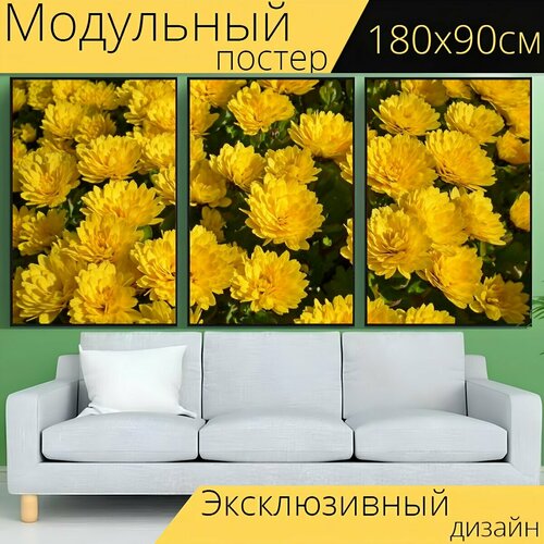 Модульный постер "Хризантемы, цветы, желтый" 180 x 90 см. для интерьера