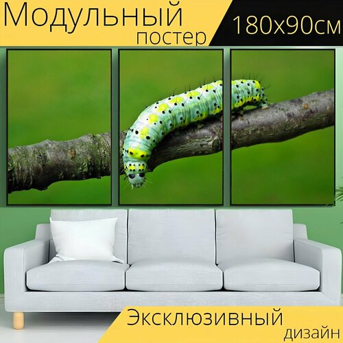 Модульный постер "Гусеница, насекомое, весна" 180 x 90 см. для интерьера