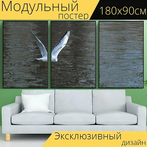 Модульный постер "Животное, птица, чайки" 180 x 90 см. для интерьера