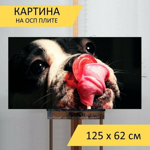 Картина на ОСП 125х62 см. "Собака, французский, щенок" горизонтальная, для интерьера, с креплениями