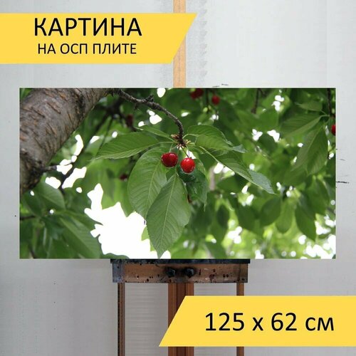 Картина на ОСП 125х62 см. "Вишня, фрукты, дерево" горизонтальная, для интерьера, с креплениями