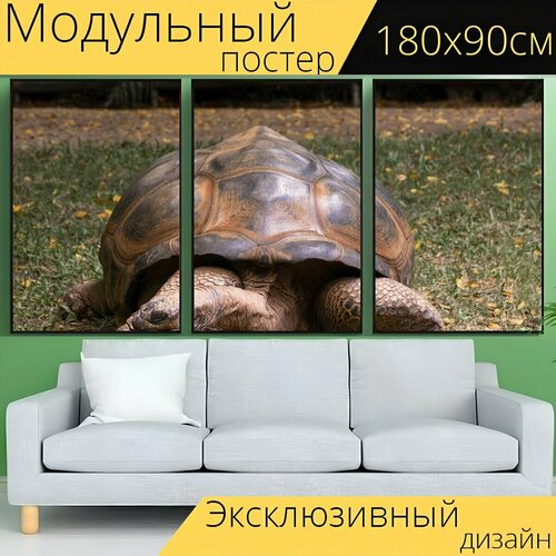 Модульный постер "Черепаха, большой, медленный" 180 x 90 см. для интерьера