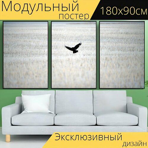 Модульный постер "Ворона, поле, зима" 180 x 90 см. для интерьера
