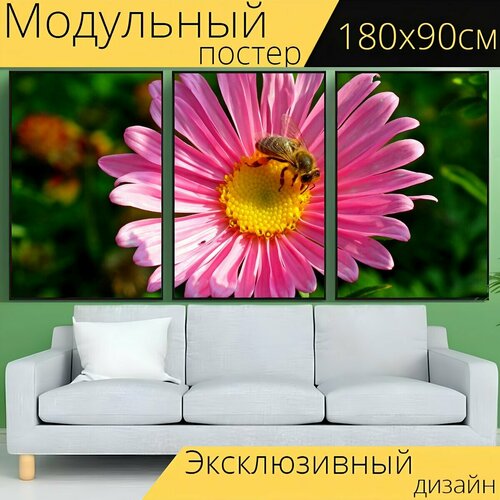 Модульный постер "Астра, цветок, пчела" 180 x 90 см. для интерьера