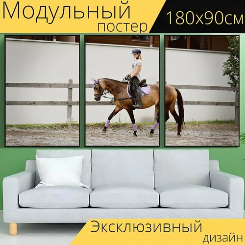 Модульный постер "Девочка, поездка, лошадь" 180 x 90 см. для интерьера