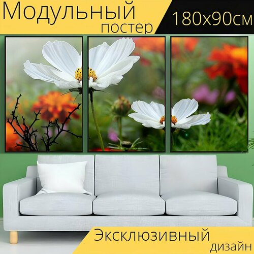 Модульный постер "Цветы, маленькие цветы, садовые цветы" 180 x 90 см. для интерьера
