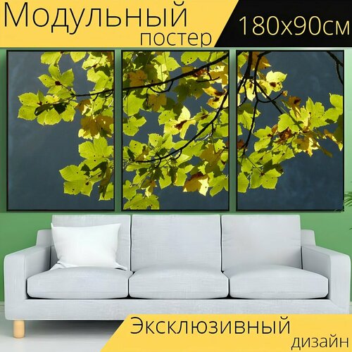 Модульный постер "Платан, листья, зеленый" 180 x 90 см. для интерьера