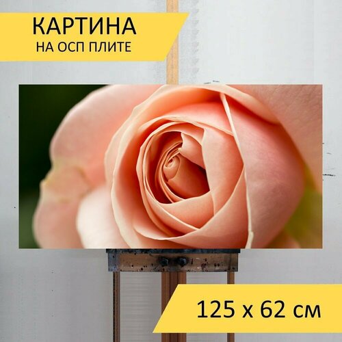 Картина на ОСП 125х62 см. "Цветок, роза, лепестки" горизонтальная, для интерьера, с креплениями