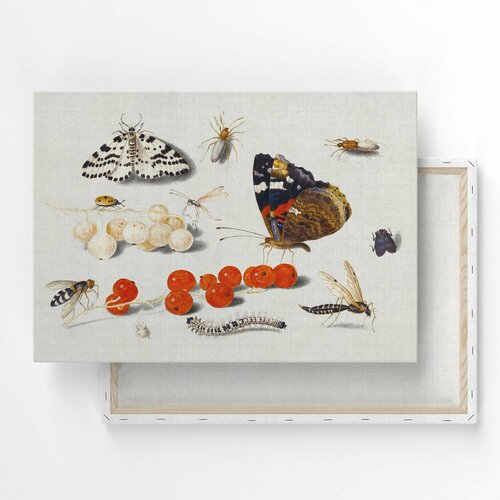 Картина на холсте, репродукция / Кессель Ян Ван - Butterfly, Caterpillar / Размер 30 x 40 см
