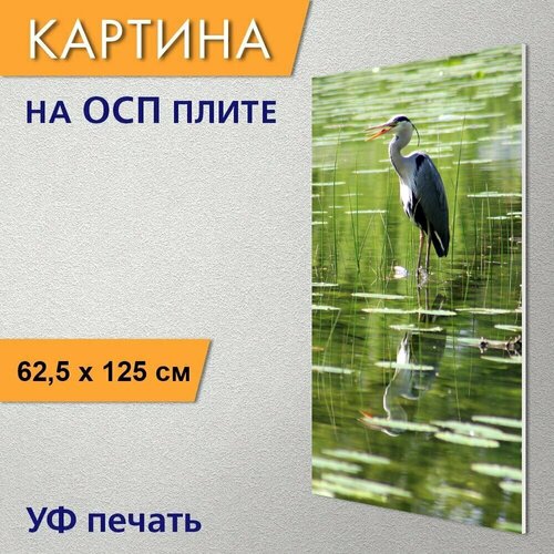 Вертикальная картина на ОСП "Цапля, птица, пруд" 62x125 см. для интерьериа