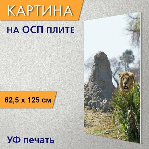 Вертикальная картина на ОСП "Лев, мужчина, дикая природа" 62x125 см. для интерьериа