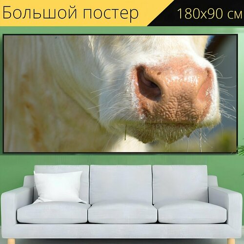 Большой постер "Ноздря, корова, сельское хозяйство" 180 x 90 см. для интерьера